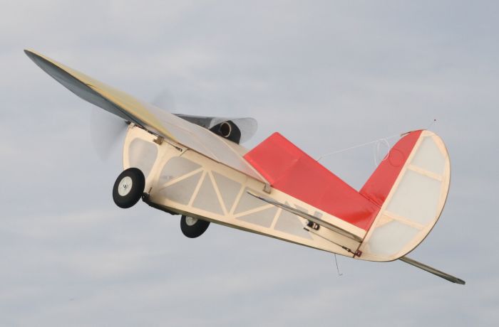 Flying wood | Speedy bee